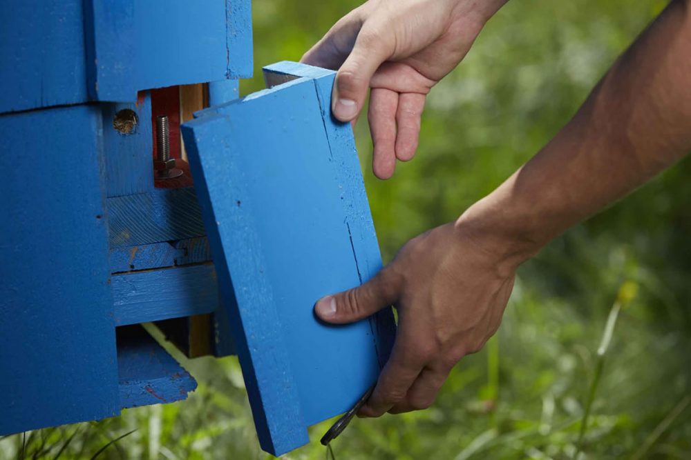 Assembles in One Day - "France" by Pin-Up Houses – TinyHouseDesign